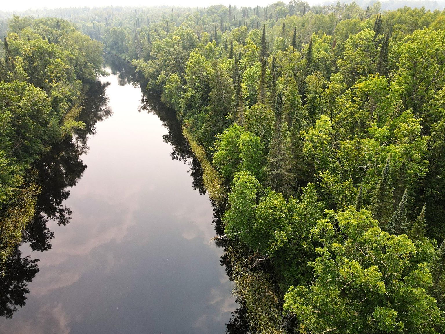 40 Tbd Co Rd, Effie, MN 56639 | MLS #6772543 | Zillow