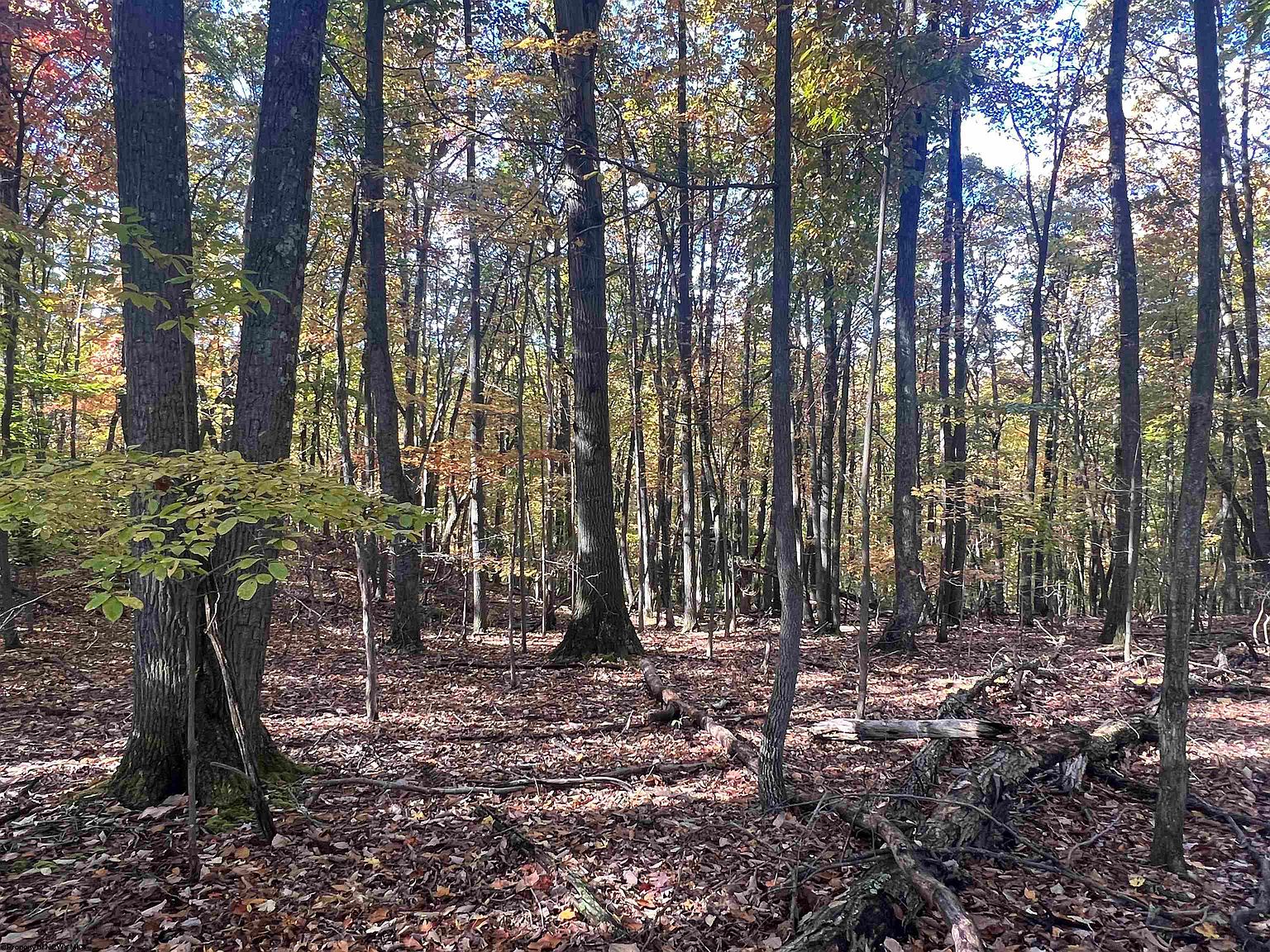 N Morgan Ridge Rd, Fairmont, WV 26554 | Zillow