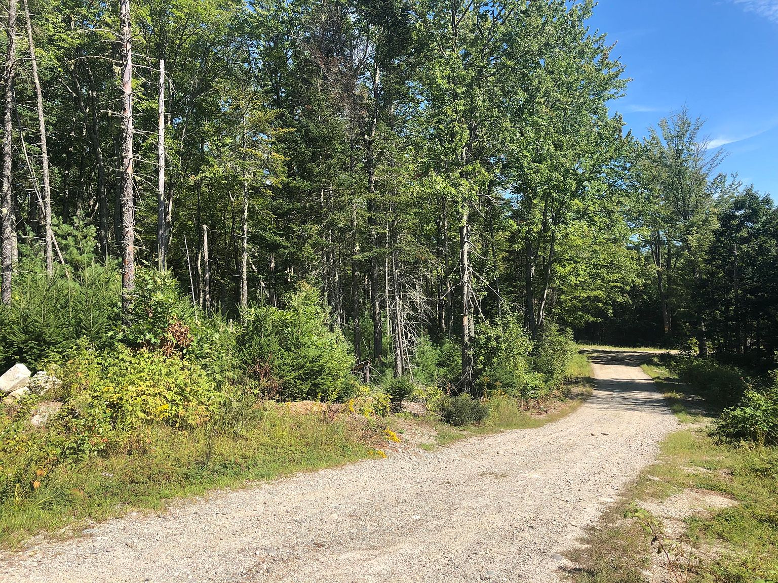 Lot 9 Ryan Lane, Surry, ME 04684 | Zillow