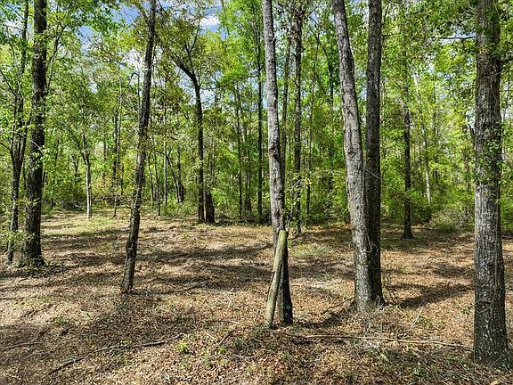 0 NW Jennings Bluff Rd, Jennings, FL 32053 | MLS #369822 | Zillow