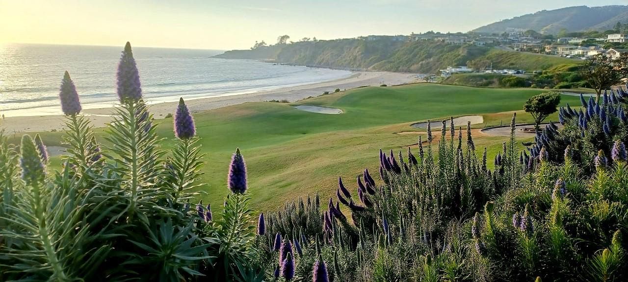 32450 Crown Valley Pkwy, Dana Pt, CA 92629 | Zillow