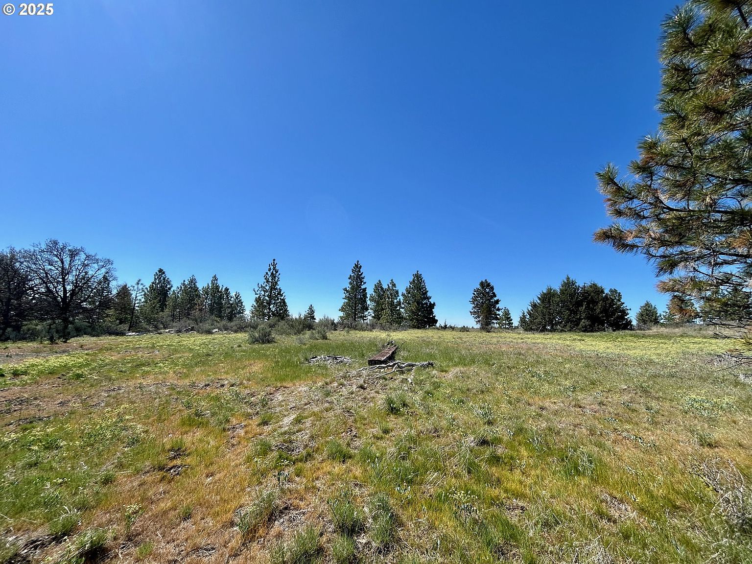 On Pine St, Bickleton, WA 99322 | MLS #603831149 | Zillow