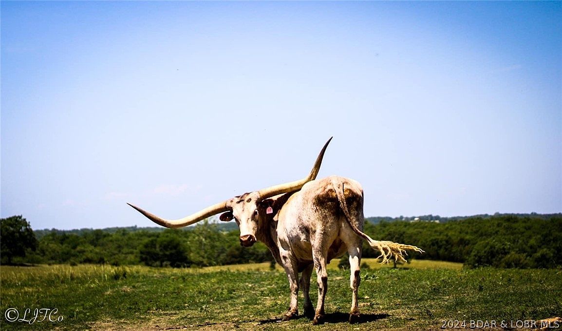 County Side Rd, Iberia, MO 65486 | MLS #3566702 | Zillow