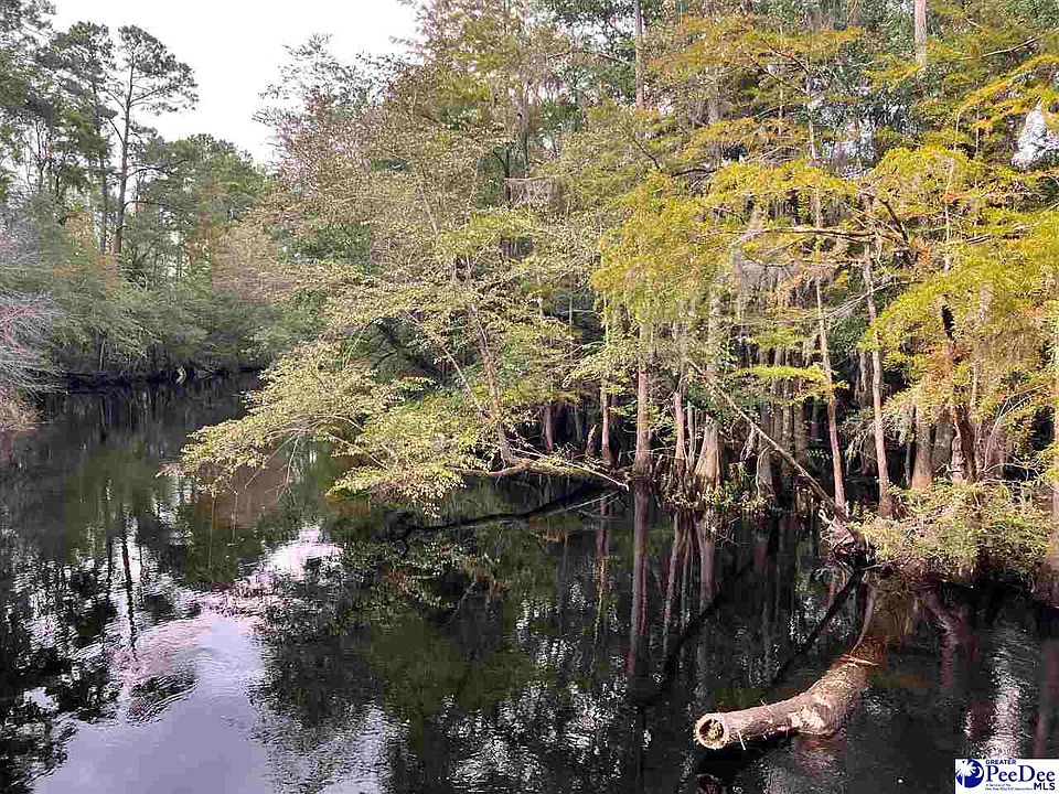 Buck Swamp Rd, Fork, SC 29543 | Zillow