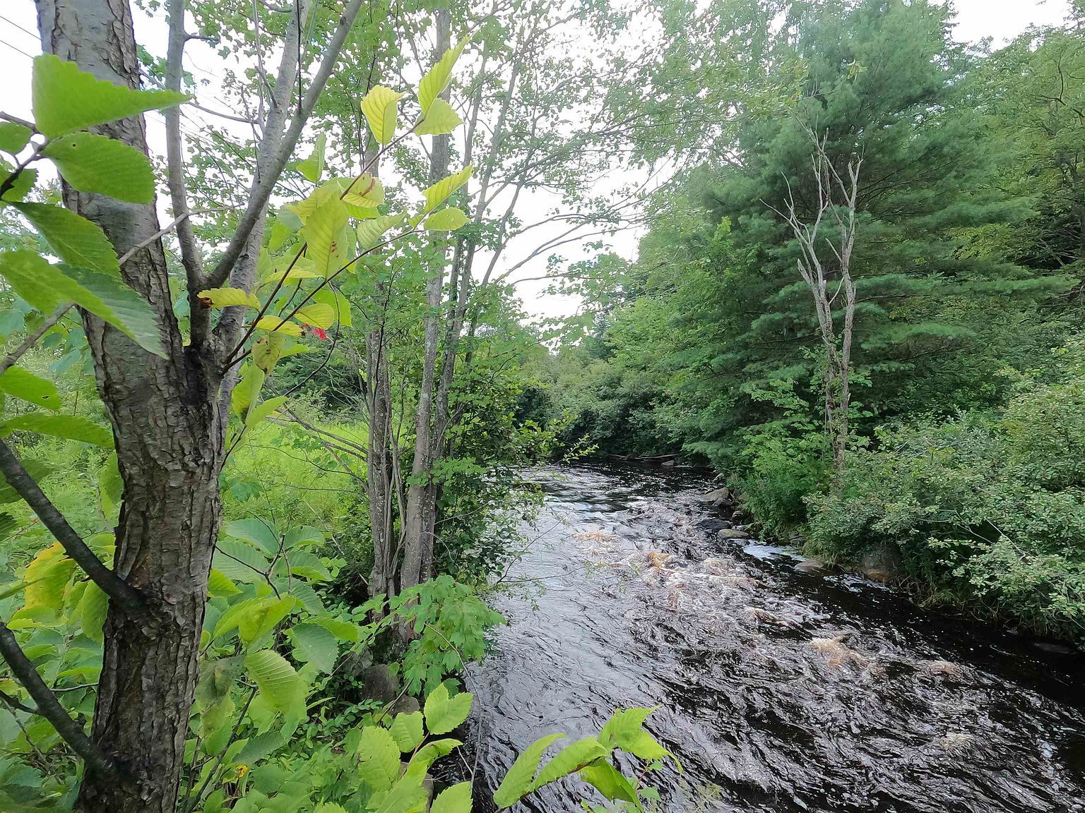Mill Street Lot 284, 285 & 62, Baldwinville, MA 01436 | MLS #5033403 ...
