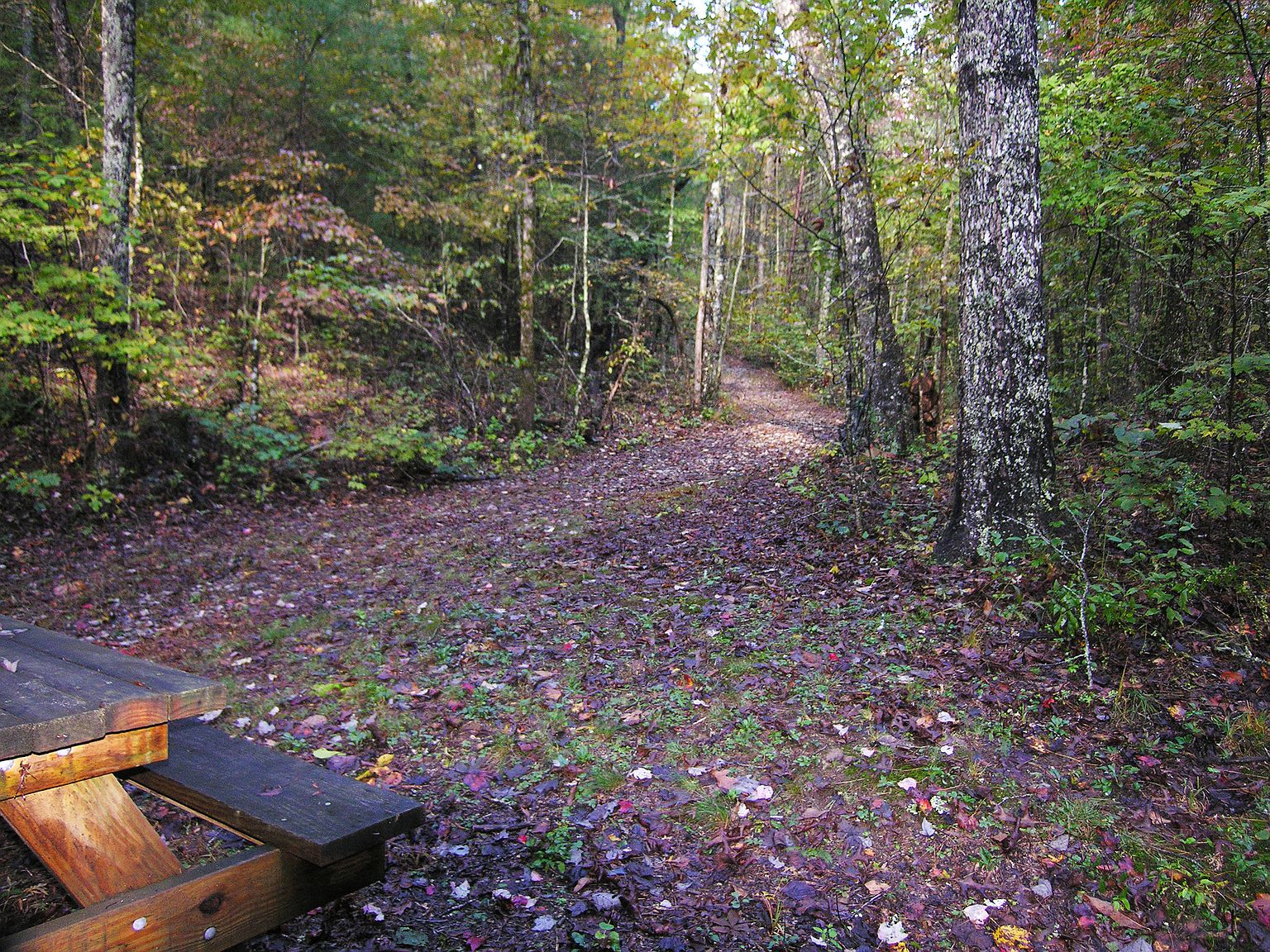 645 Towee Falls Rd, Tellico Plains, TN 37385 | Zillow