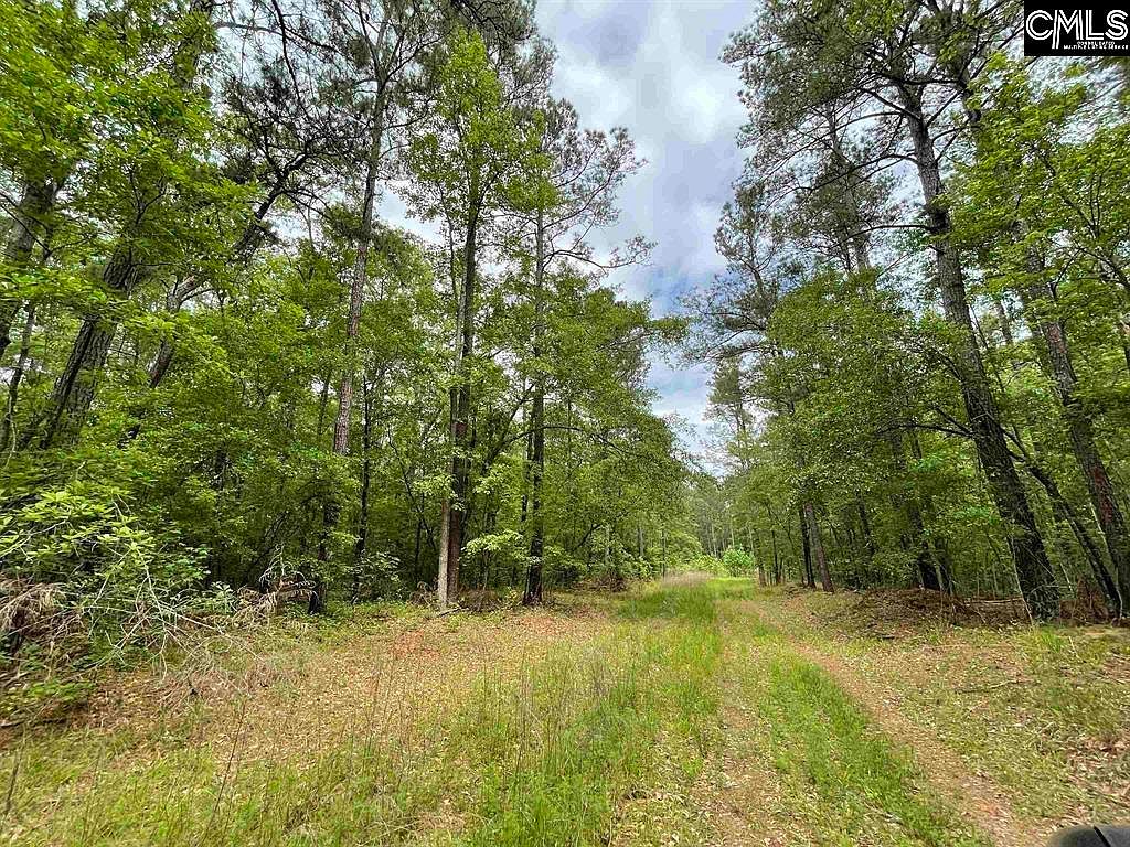 Bull Swamp, North, SC 29112 | MLS #594383 | Zillow