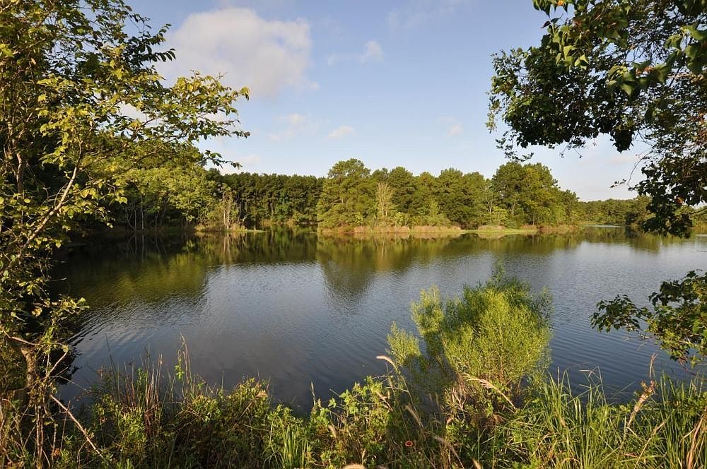 Riley Fuzzel Rd, Spring, TX 77386 | Zillow