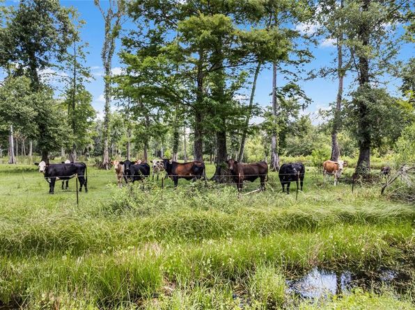 Astatula FL Real Estate - Astatula FL Homes For Sale | Zillow