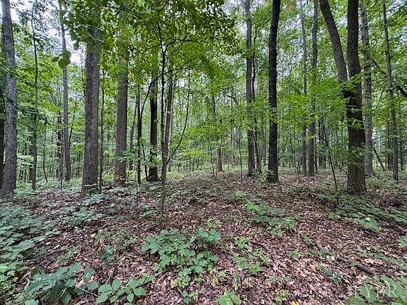 2 Spring Grove Rd, Spout Spring, VA 24593 | MLS #354694 | Zillow