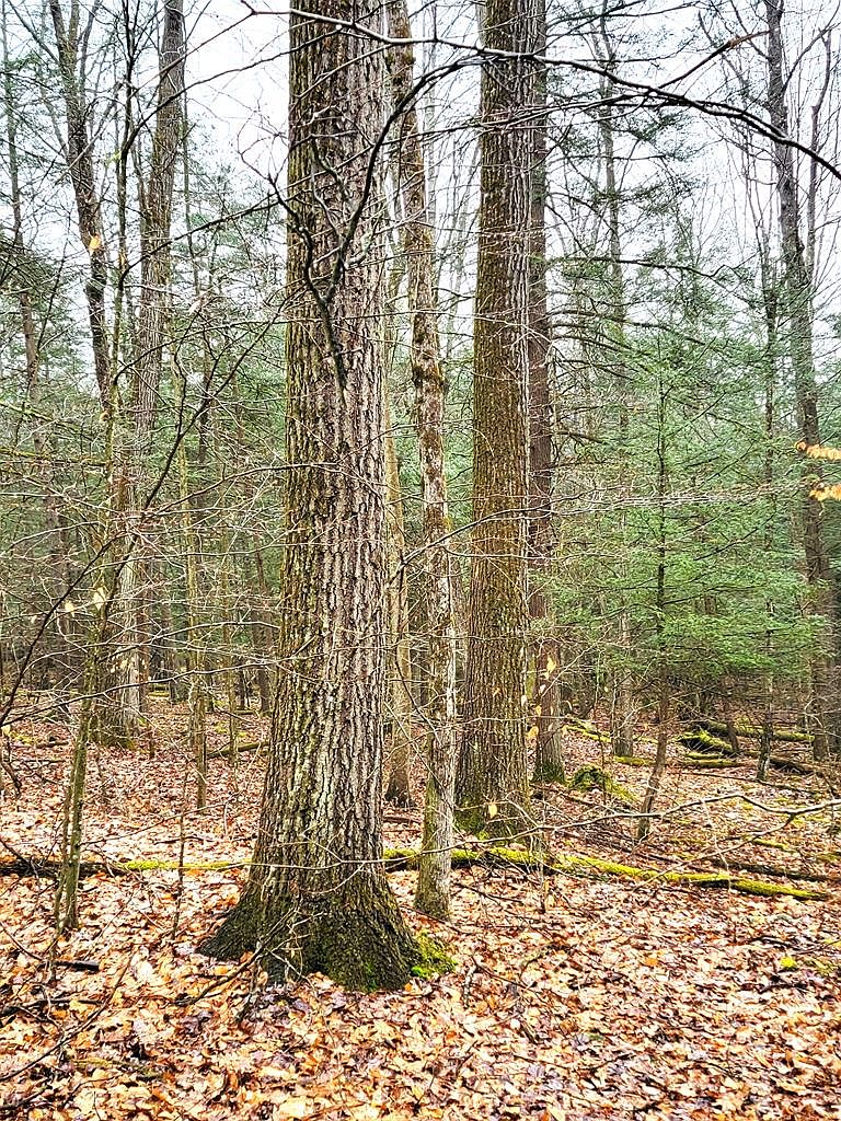 0 Sugar Hill Rd, Beaver Dams, NY 14812 | MLS #274000 | Zillow