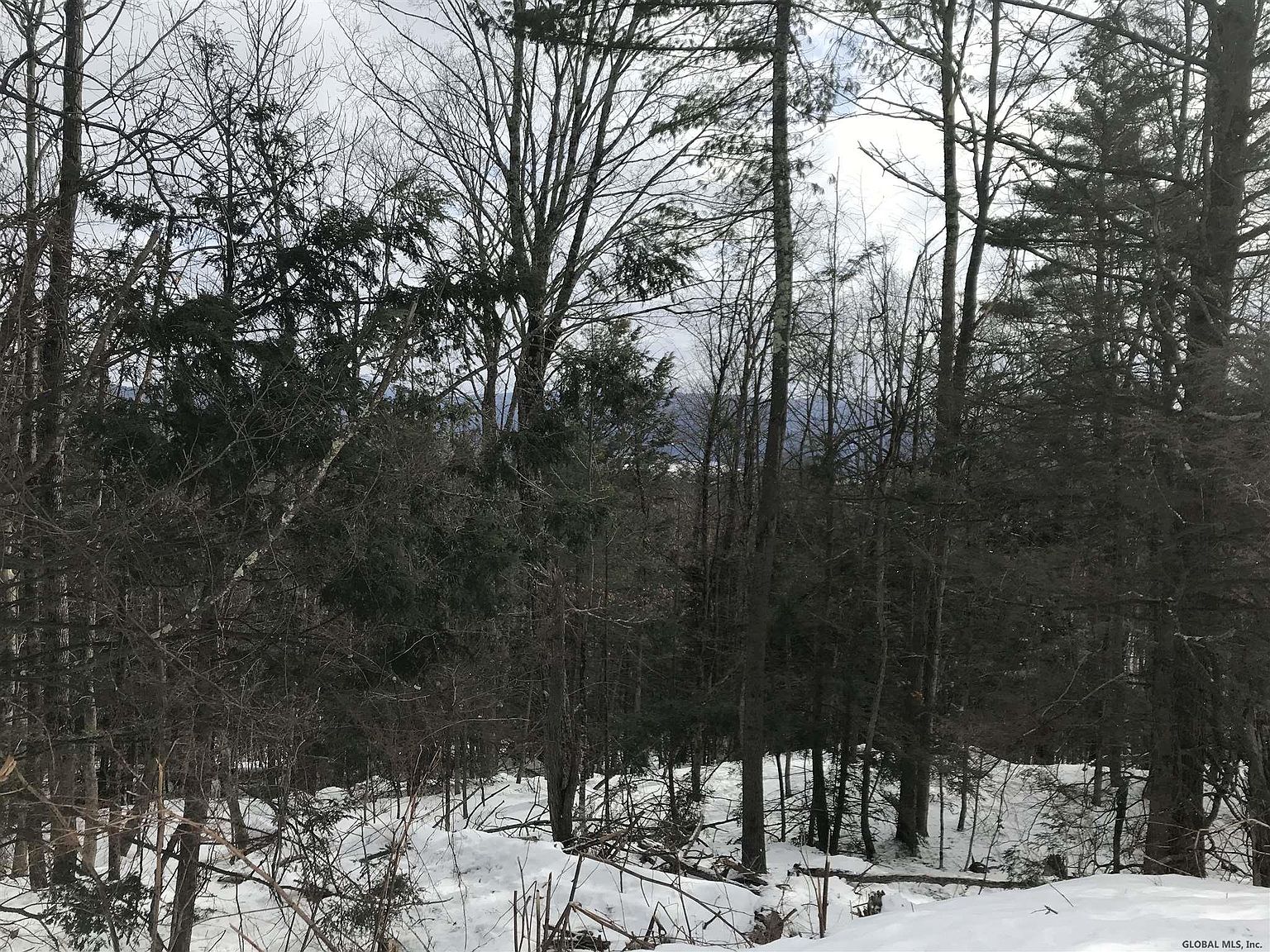 346 Edgecomb Pond Rd, Bolton Landing, NY 12814 | Zillow