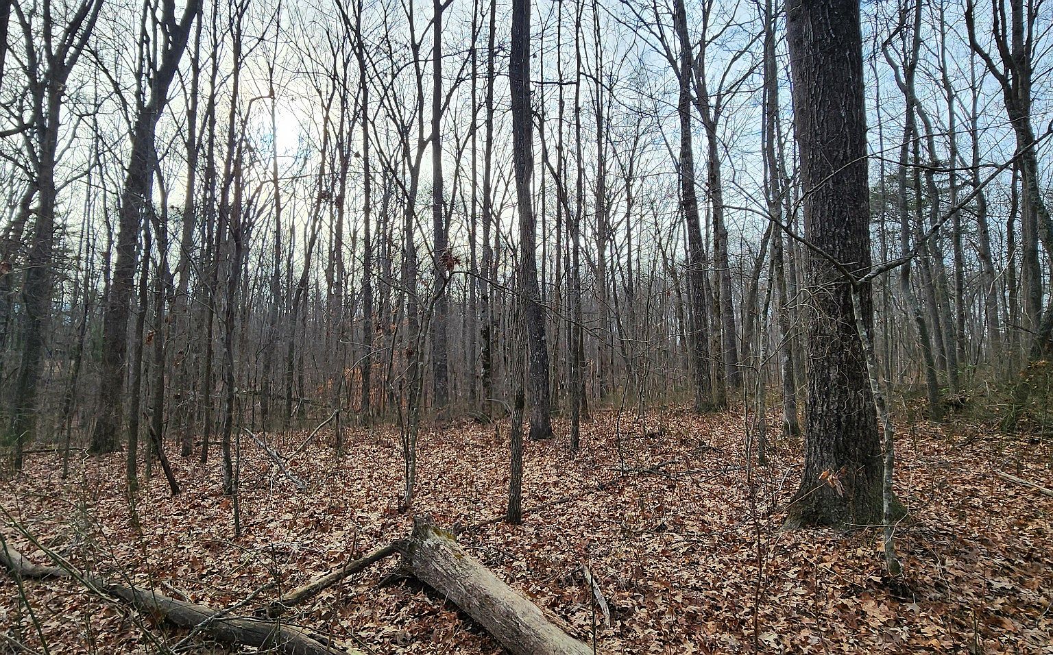 0 Hunziker Rd LOT 14, Tracy City, TN 37387 | MLS #2802942 | Zillow