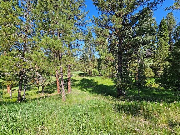 1087 Golf View Dr, Seeley Lake, MT 59868 | MLS #30044414 | Zillow