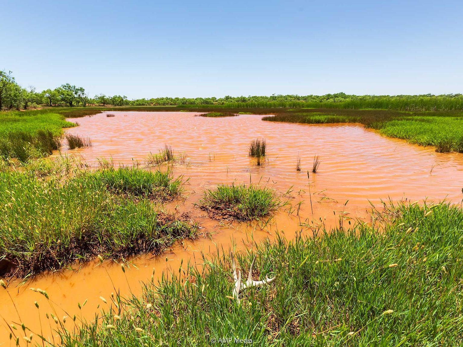 County Road 273, Roby, TX 79543 | MLS #20948060 | Zillow