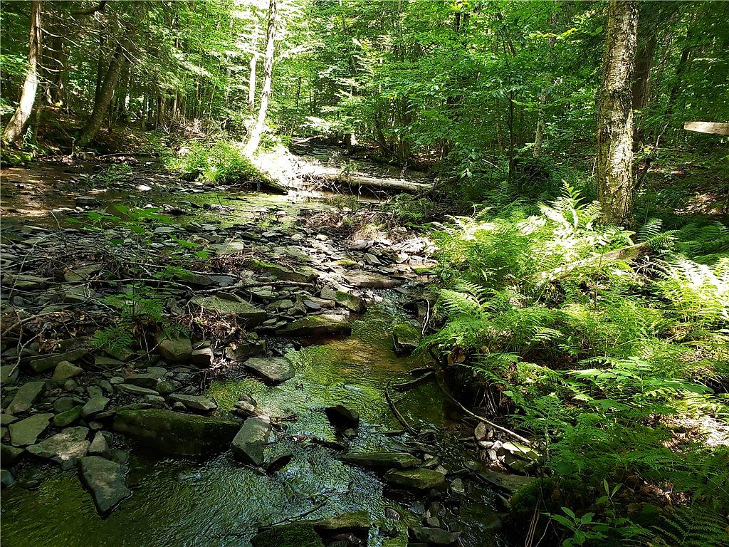 185 Kaine Rd #2, Altmar, NY 13302 | MLS #R1496183 | Zillow