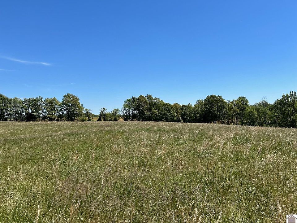 320 Barriger Rd, Cunningham, KY 42035 | MLS #130805 | Zillow
