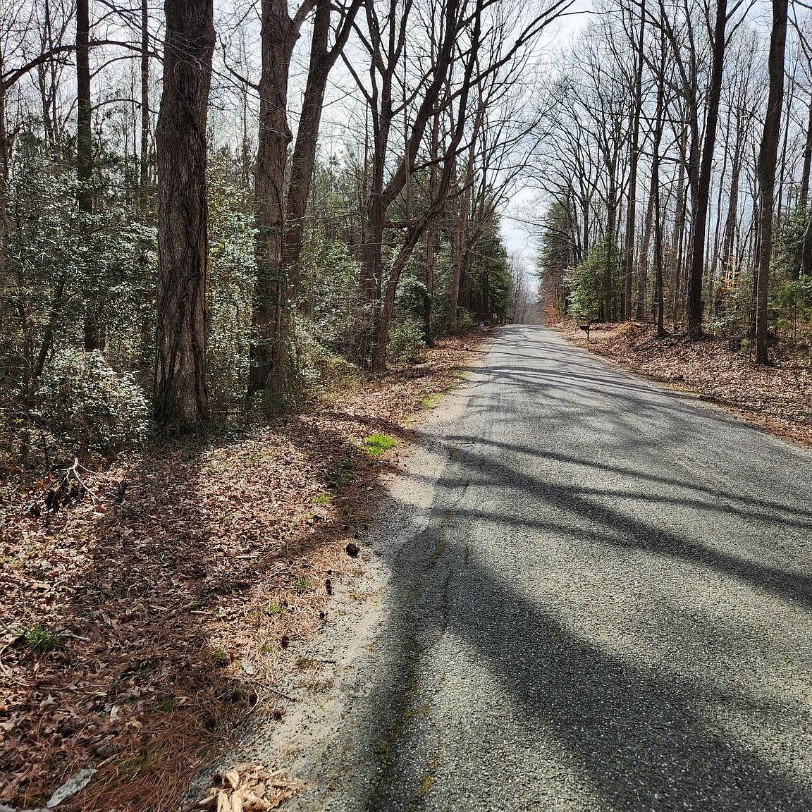 1 Pilkington Rd, Hustle, VA 22476 | Zillow