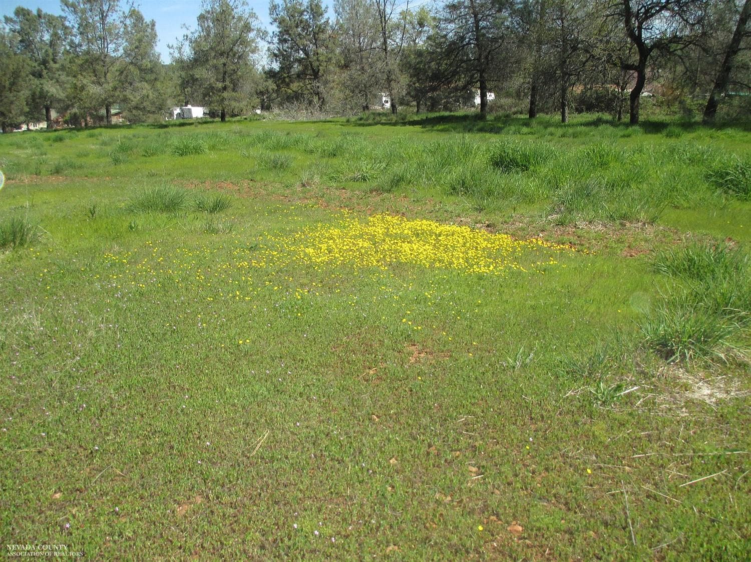 10215 Meadow Springs Rd, Penn Valley, CA 95946 | Zillow