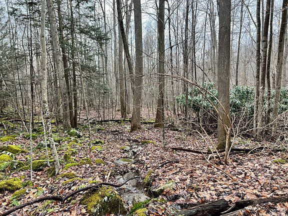 0 Listonburg Rd, Confluence, PA 15424 | MLS #11319911 | Zillow