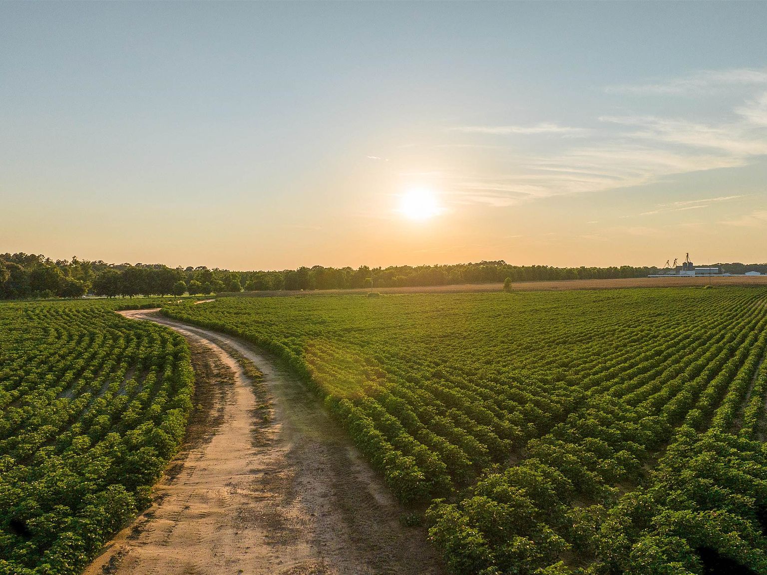 5065 State Highway 520, Weston, GA 31832 | Zillow