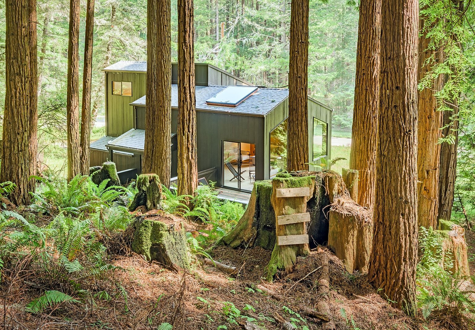 10165 Sorcerer Wood, The Sea Ranch, CA 95497 | Zillow