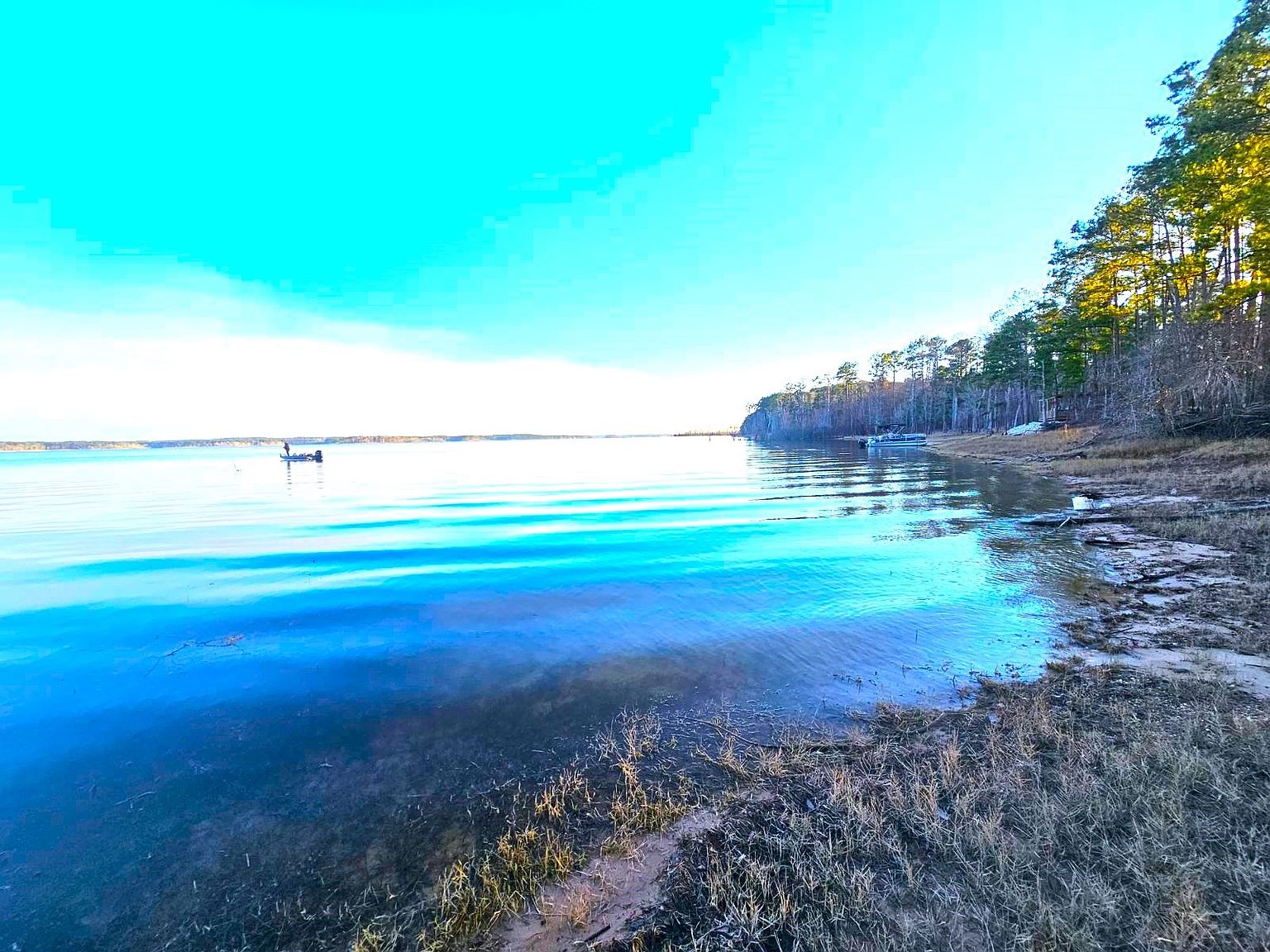 T B D Needmore, Bronson, TX 75930 | MLS #20807498 | Zillow