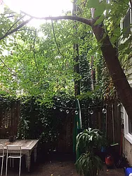 10 Havemeyer Street #1A in Williamsburg, Brooklyn | StreetEasy