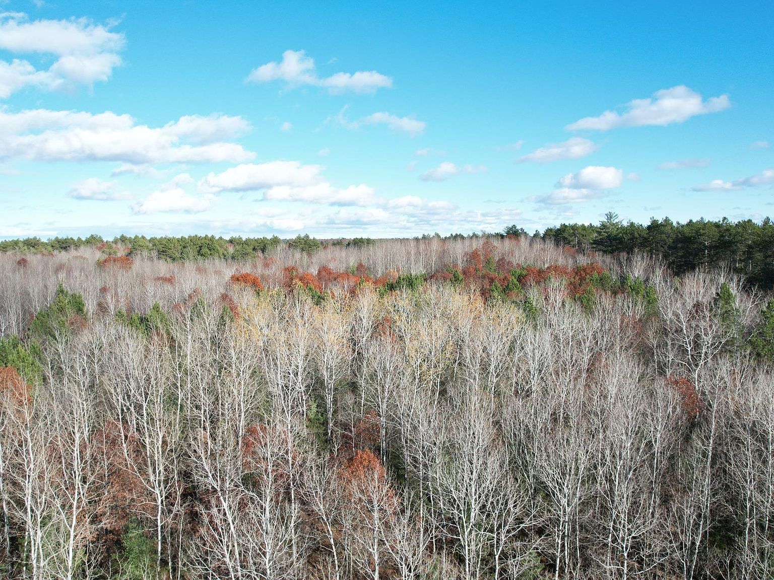 Star Lake Rd, Sayner, WI 54560 | Zillow