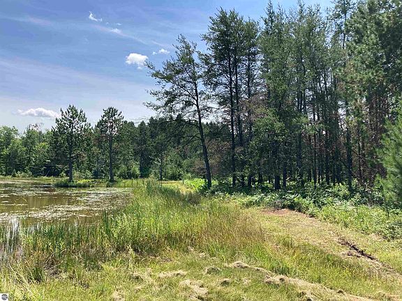 10420 E Newman Rd, Merritt, MI 49667 | MLS #1917862 | Zillow