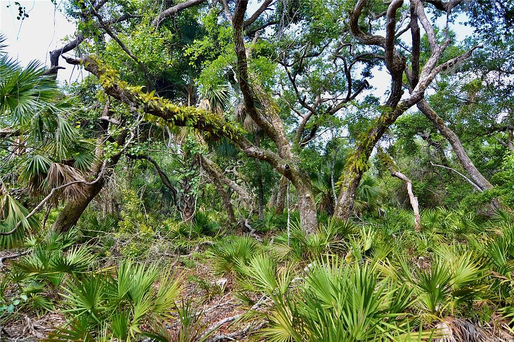 0 Leroy Lyons Rd, Perry, FL 32348 | Zillow