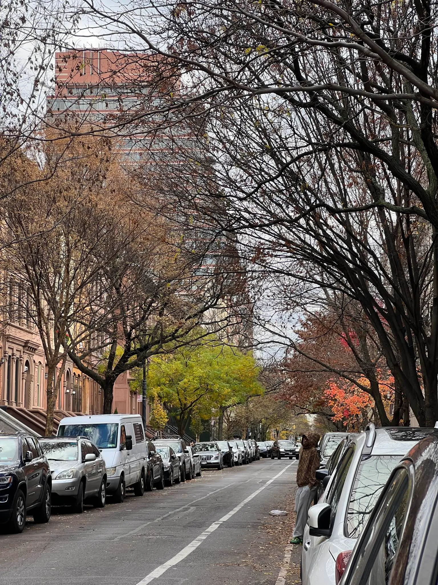 56 West 119th Street #3E in South Harlem, Manhattan | StreetEasy