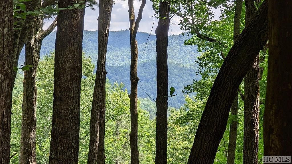 399 Meadowcrest Drive, Cashiers, NC 28717 | Zillow