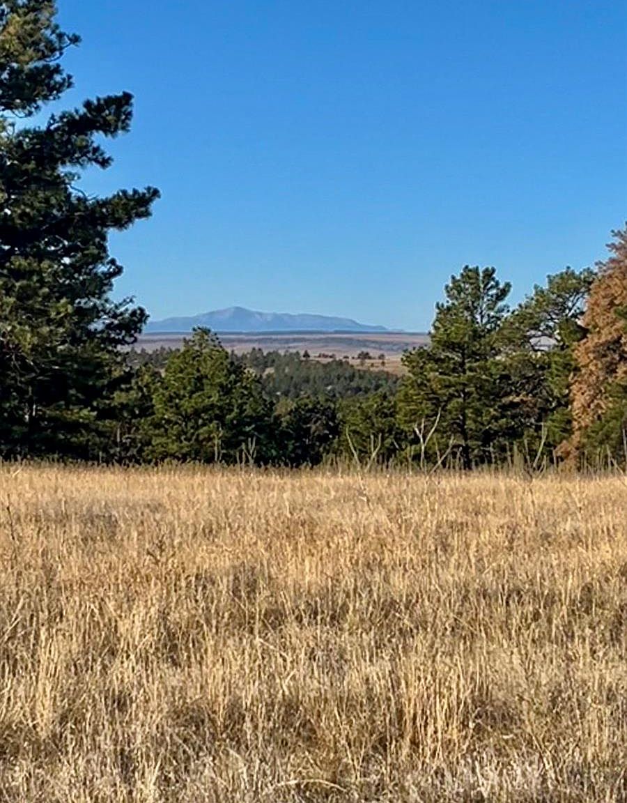 40909 Topaz Drive LOT 2, Deer Trail, CO 80105 | Zillow