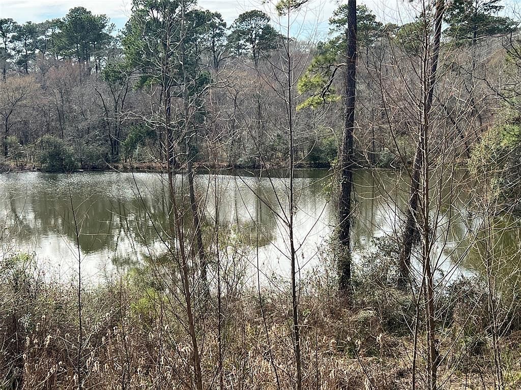 25615 Timber Lakes Dr, Spring, TX 77380 | MLS #98557674 | Zillow