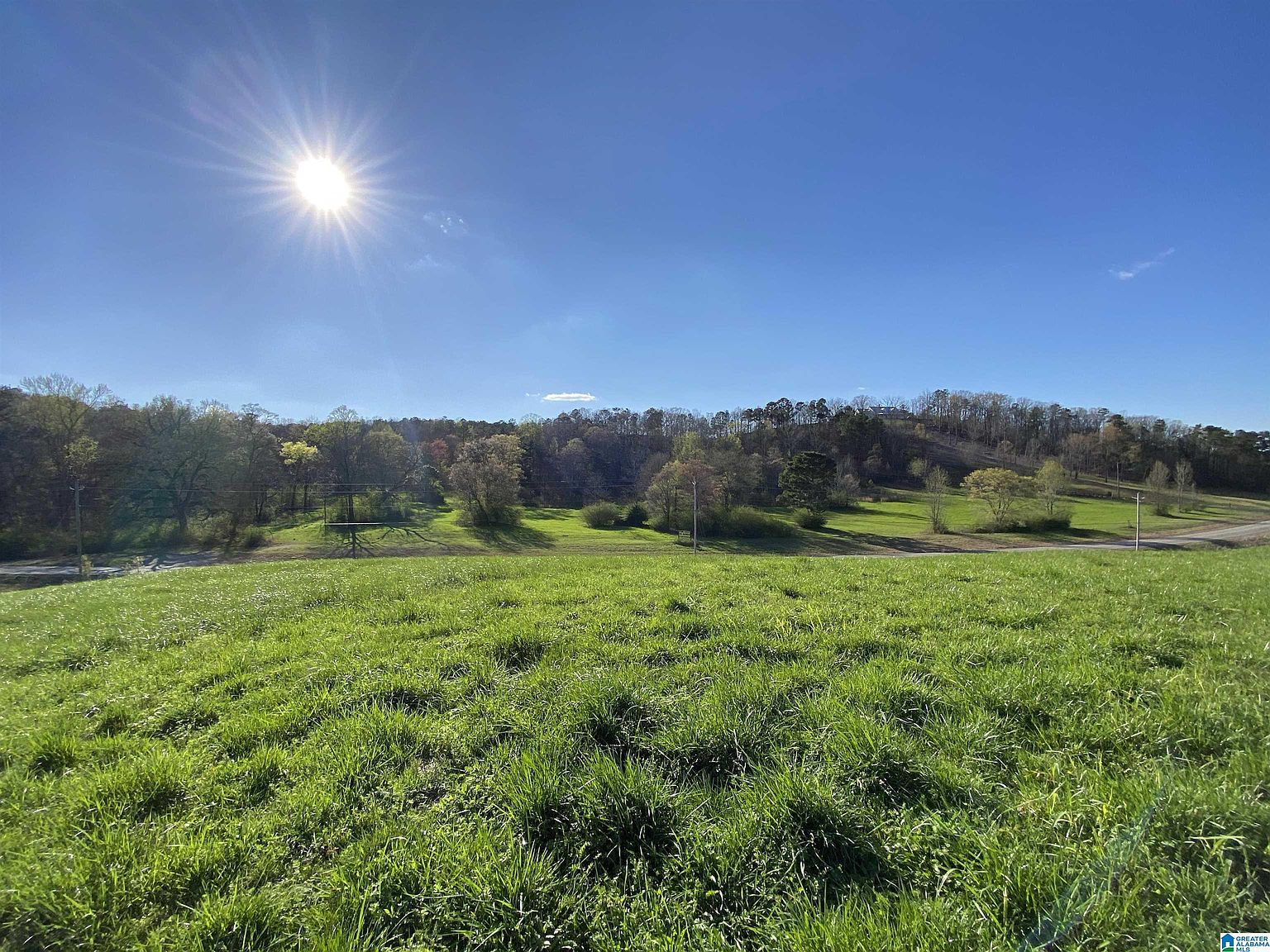 6423 State Highway 174 TRACT 4, Springville, AL 35146 | MLS #21377715 ...