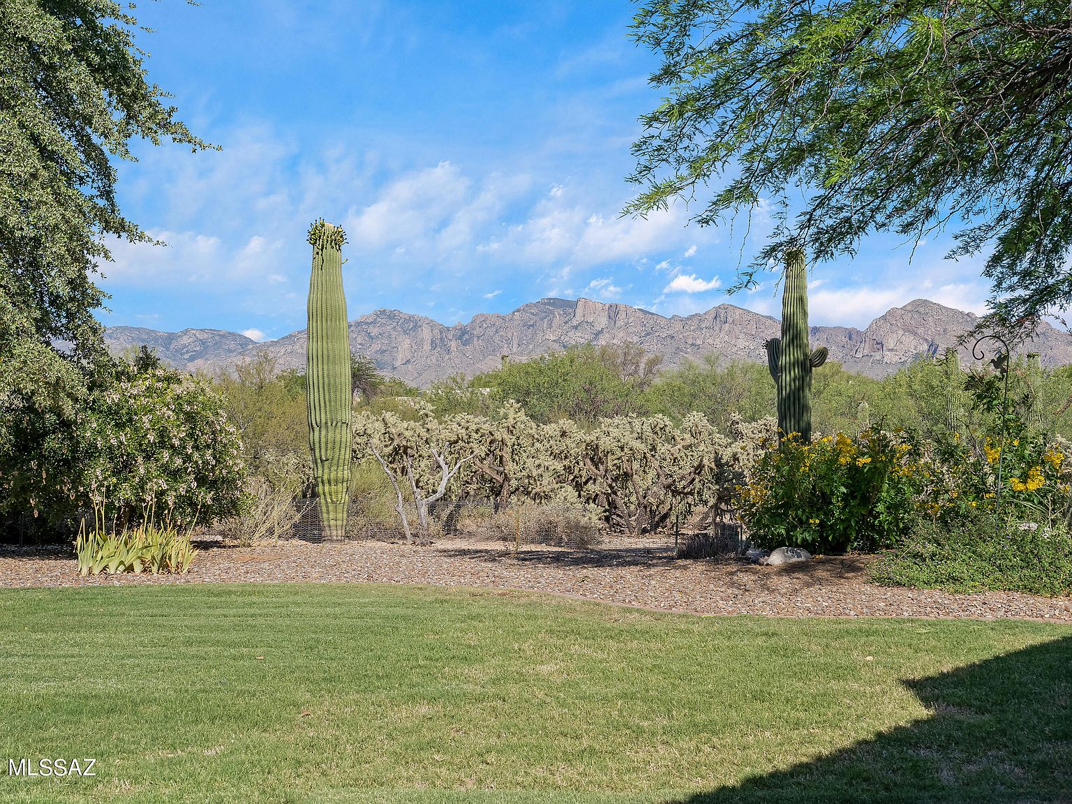 11370 N Via Rancho Naranjo, Oro Valley, AZ 85737 | Zillow