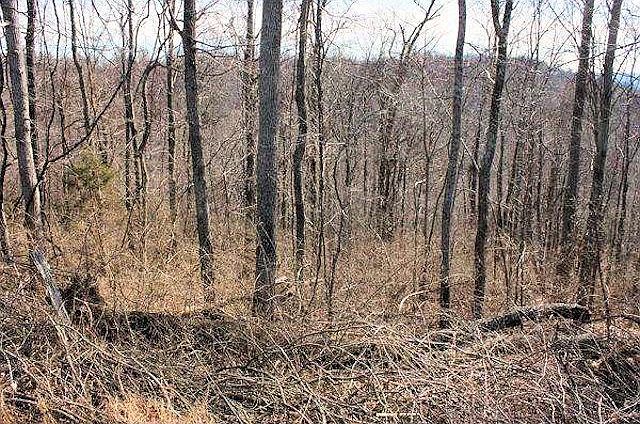 0 Tater Knob Rd #2, Peebles, OH 45660 | Zillow