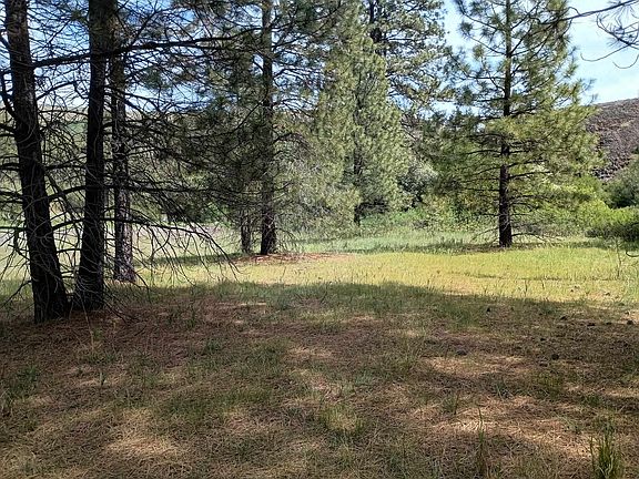 214 Hawk Creek Ranch Rd N, Davenport, WA 99122 | MLS #202514549 | Zillow