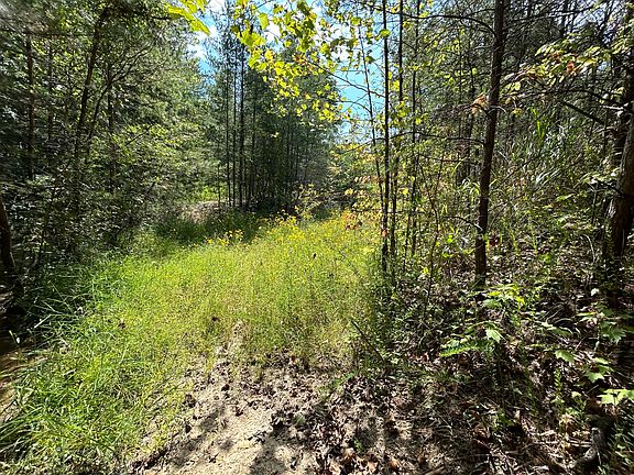 3305 Big Andy Ridge Rd, Rogers, KY 41365 | MLS #23018027 | Zillow