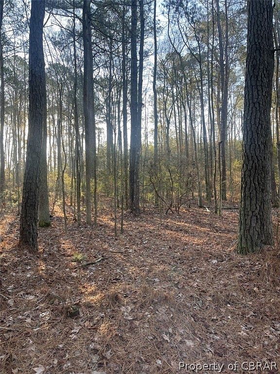 244AC Buzzard Point Rd, Diggs, VA 23045 | Zillow