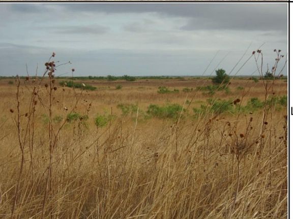 1 County Road 121, Flomot, TX 79234 | MLS #202316126 | Zillow