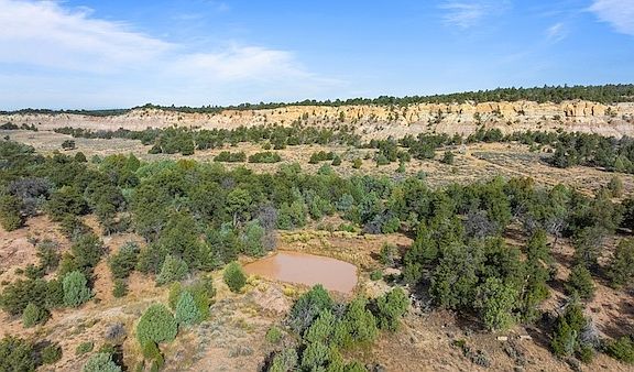 State Highway 595, Lindrith, NM 87029 | MLS #91710 | Zillow