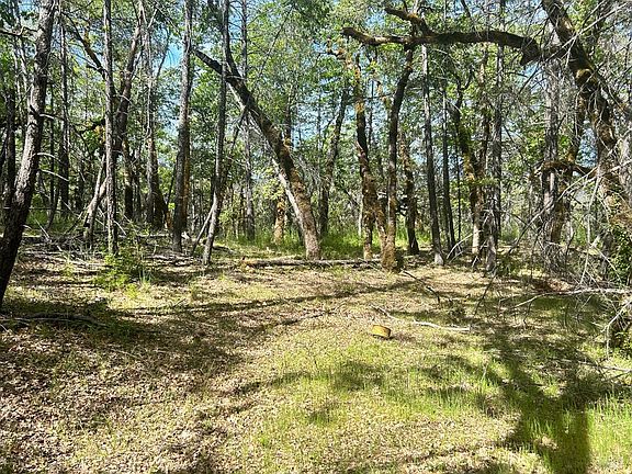 29500 Eel River Ranch Rd, Covelo, CA 95428 | MLS #324030198 | Zillow