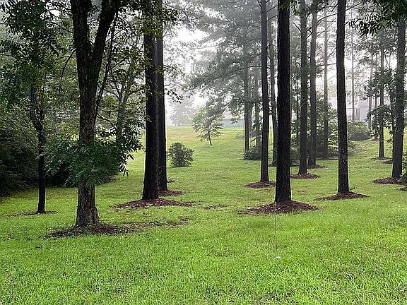 17324 Bashi Rd, Thomasville, AL 36784 | Zillow