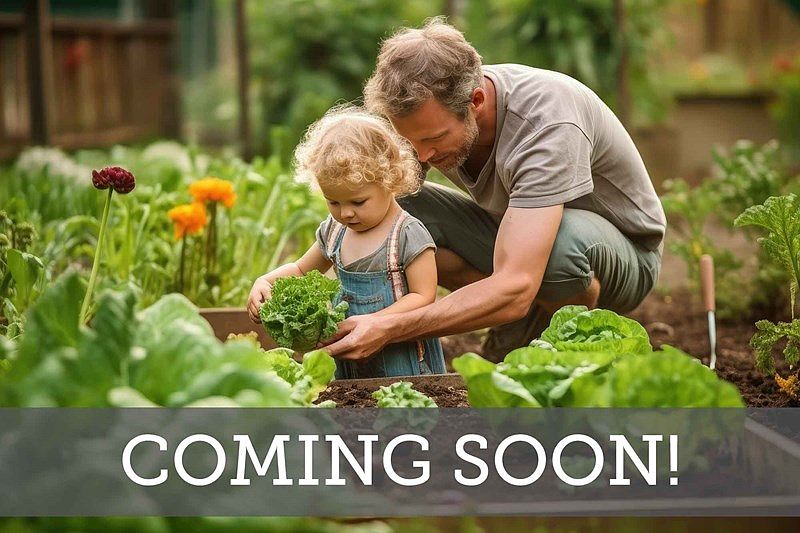 Briggs Ranch 45' by David Weekley Homes in San Antonio TX | Zillow