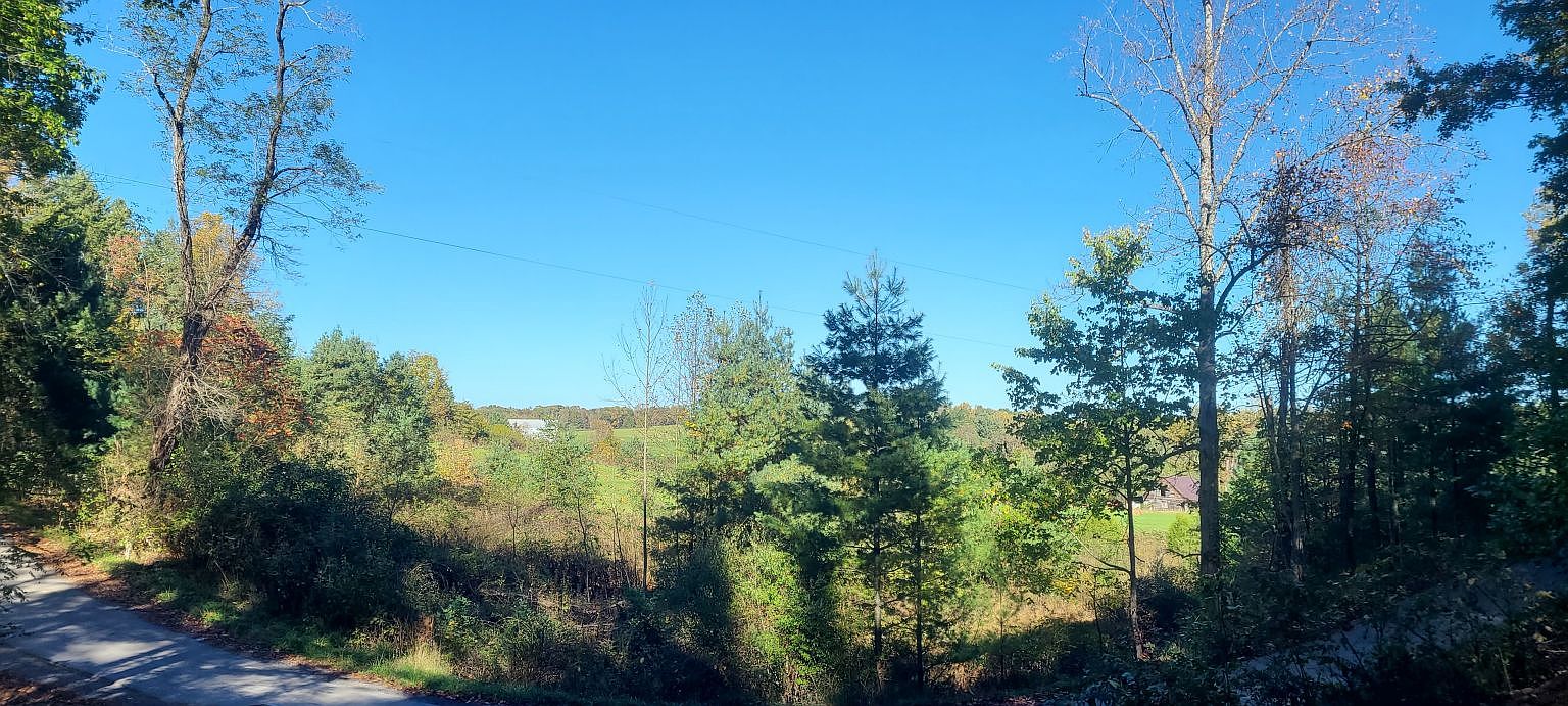 Ellison Ridge Rd #41, Jumping Branch, WV 25969 | Zillow