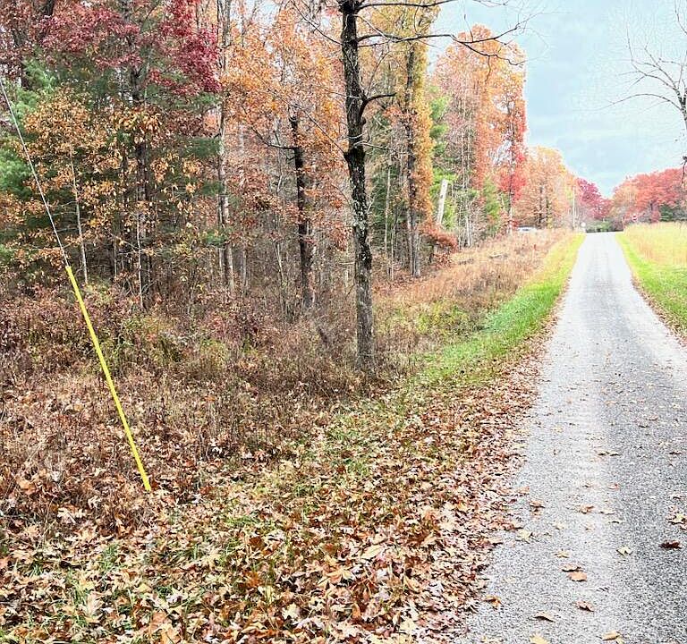 203 Bowater Rd, Deer Lodge, TN 37726 | Zillow