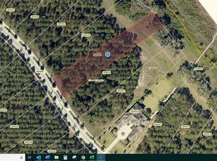 15617 Pendio Dr, Montverde, FL 34756 | MLS #G5087290 | Zillow