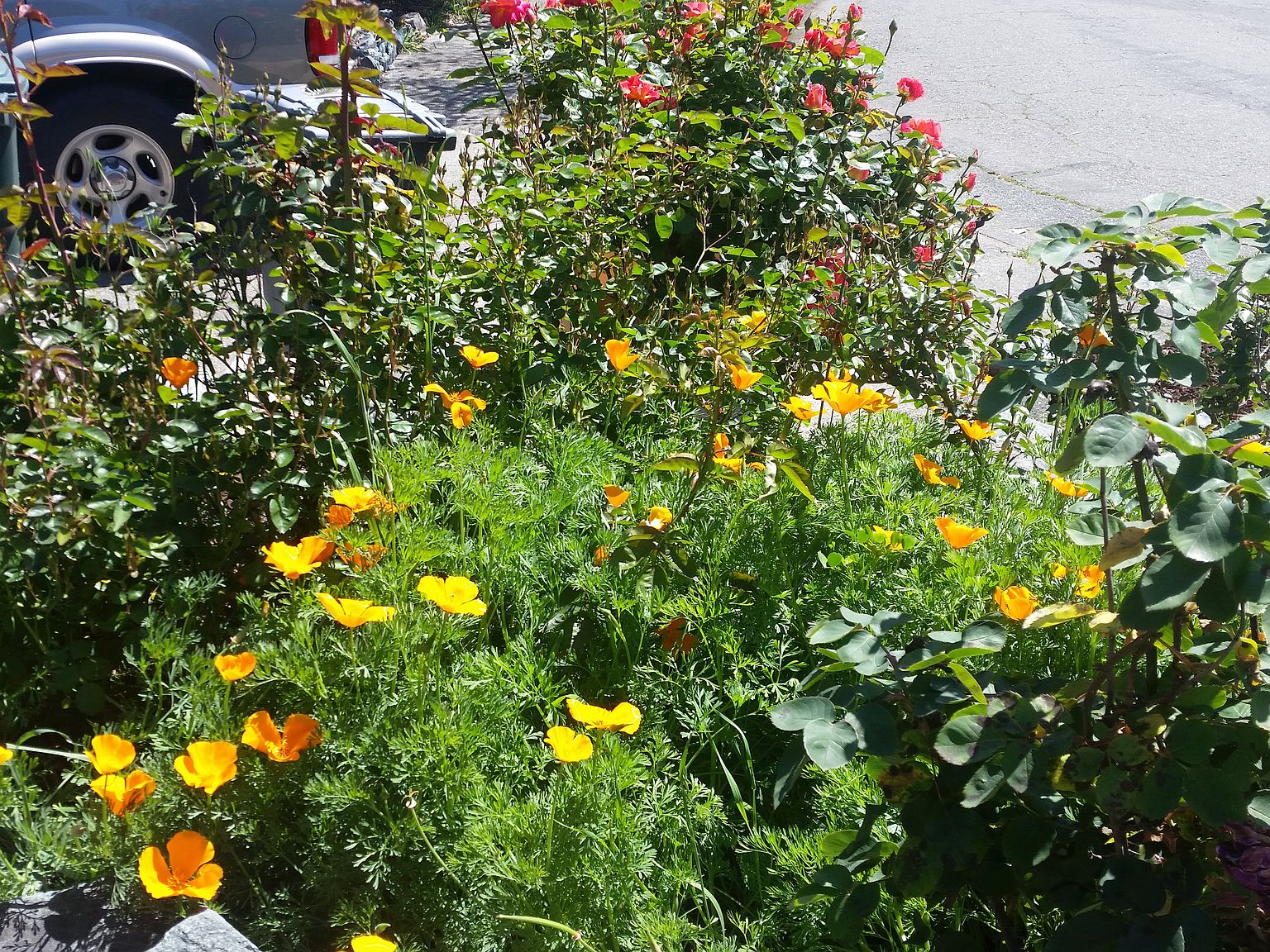 2467 Westvale Ct, Santa Rosa, CA 95403 | Zillow